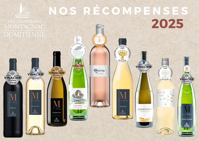Vins primés 2025 : les succès des Vignerons de Montagnac